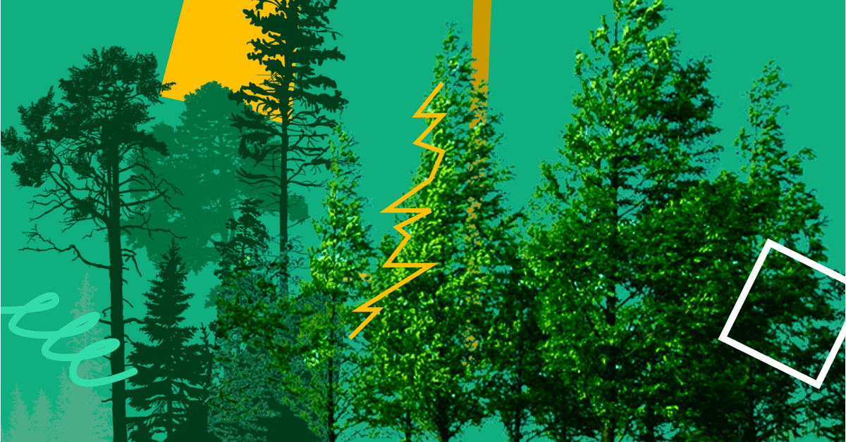 Fight climate change - Tab for a Cause