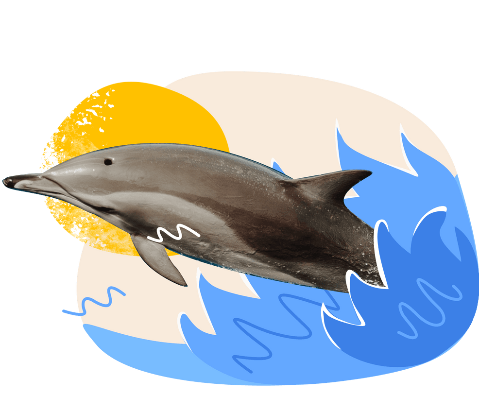 Tab for #TeamSeas - Home